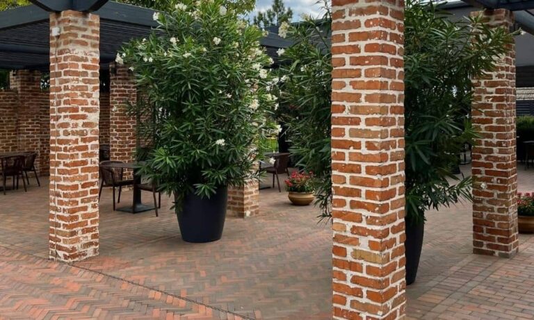 How a Viral Gardening Trend Is Changing Brick Patio Design ...